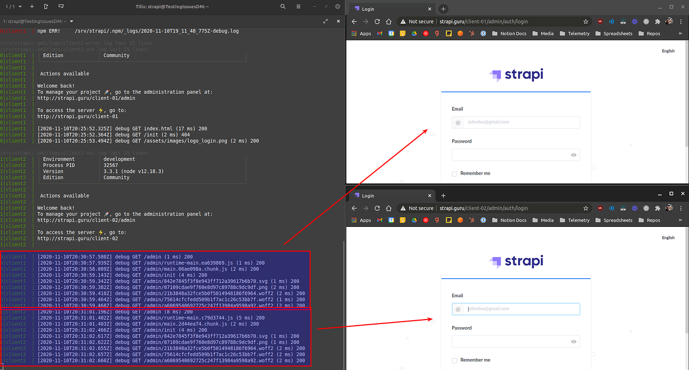 Can Strapi run in a reverse proxied container using NGinx? - Strapi Backend - Strapi Community Forum