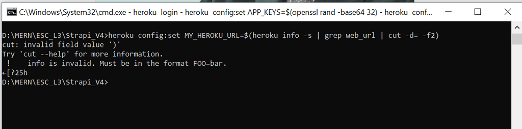 Strapi Deploye To Heroku Discussions Strapi Community Forum 