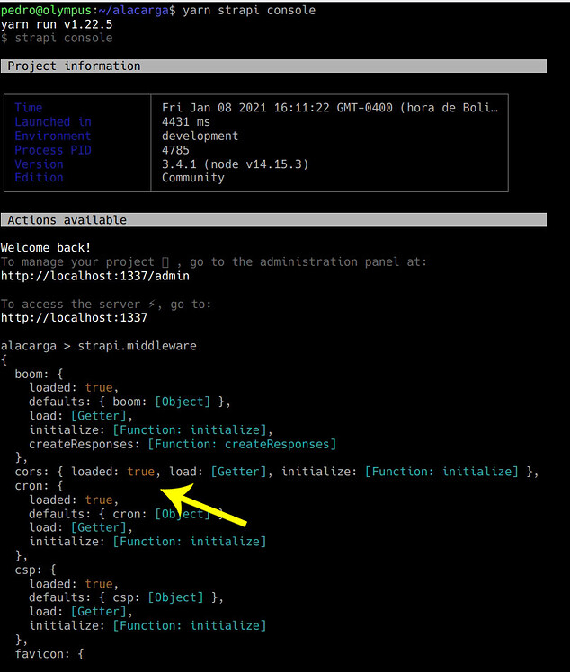 How to solve CORS policy problem for Strapi? - Questions and Answers - Strapi Community Forum