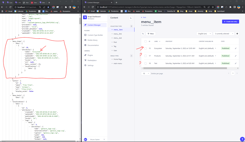 Missing collections on endpoint - Questions and Answers - Strapi Community Forum