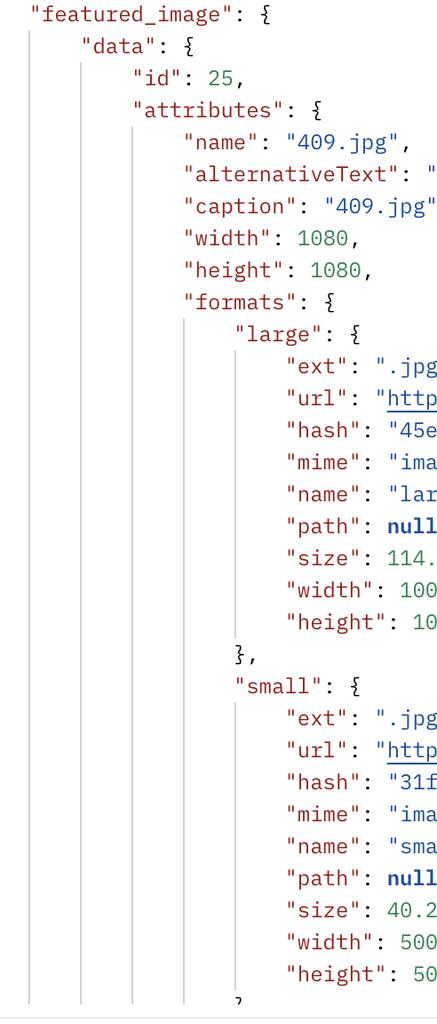 Fetch select details from image formats - Questions and Answers - Strapi Community Forum