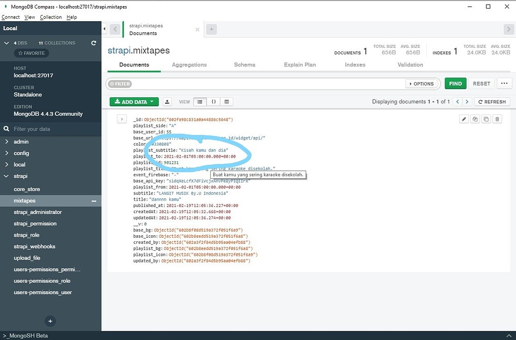 Connecting strapi to mongo db - Database-MongoDB - Strapi Community Forum